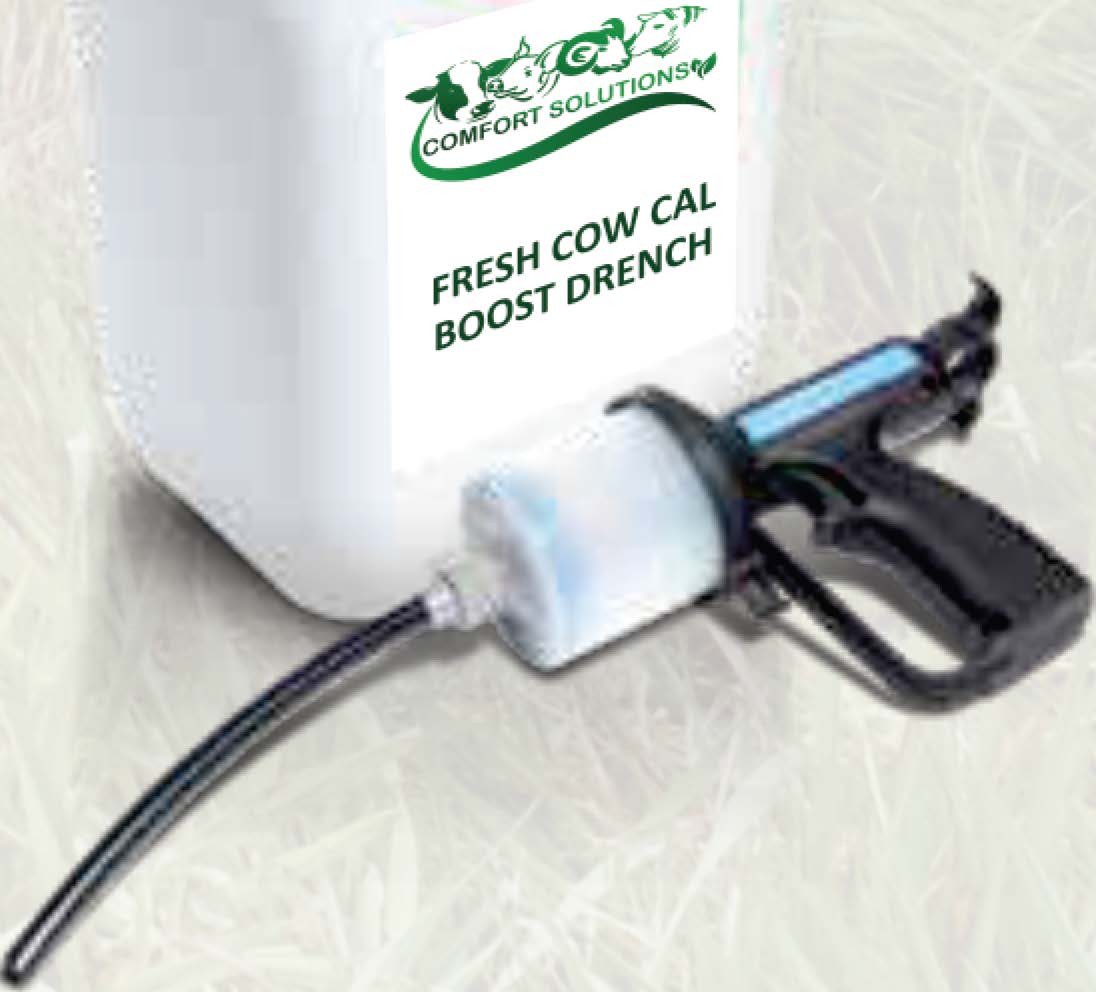Fresh Cow CAL Boost Drench – Comfort Solutions