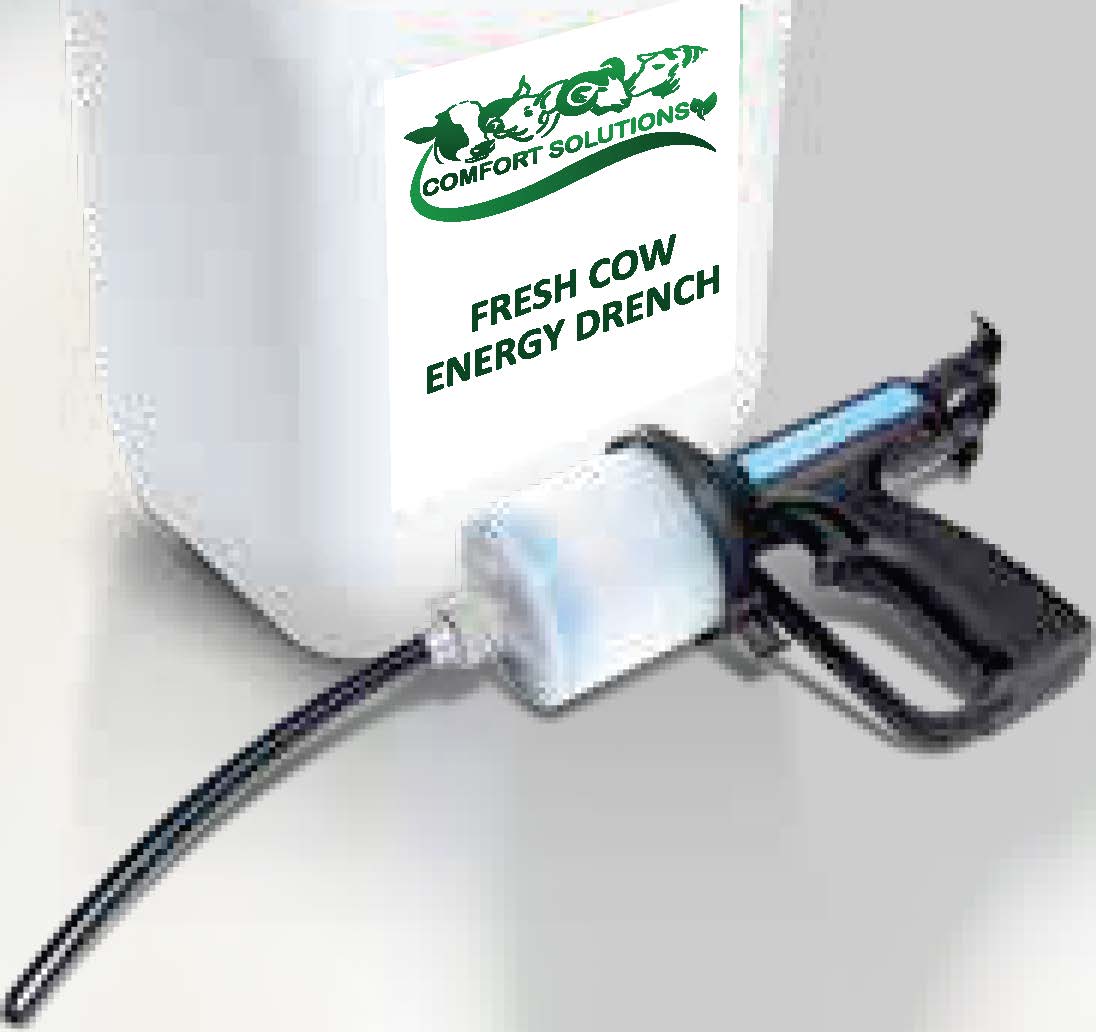 Fresh Cow Energy Drench – Comfort Solutions